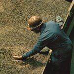 Home - Royal Peterson Control Union Group B.V.