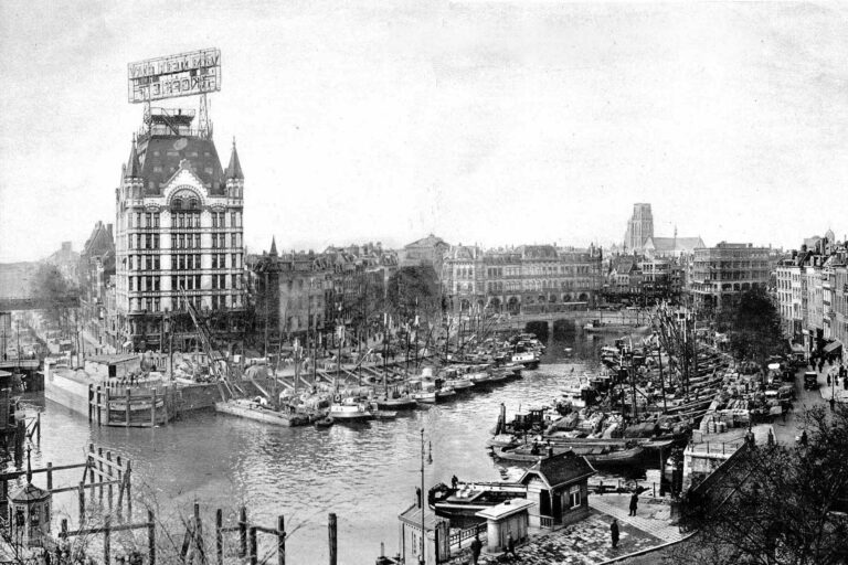 History - Royal Peterson Control Union Group B.V.