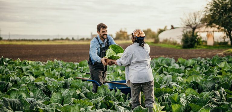 Our group - Royal Peterson Control Union Group B.V.